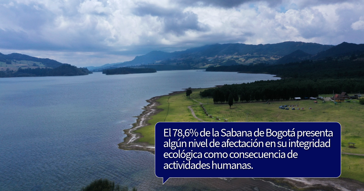 Petro publicó nuevo decreto para proteger el agua y ordenar la Sabana ...